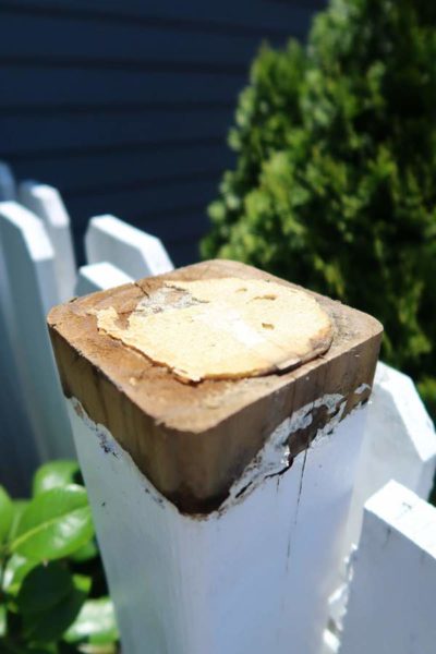 How-to Remove and Replace Fence Post Caps | Porch Daydreamer